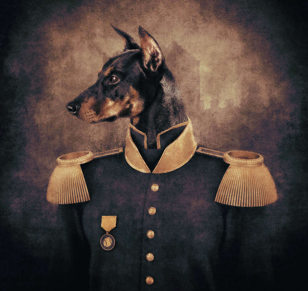 Dog General Photoshop Action for Pet Portraits