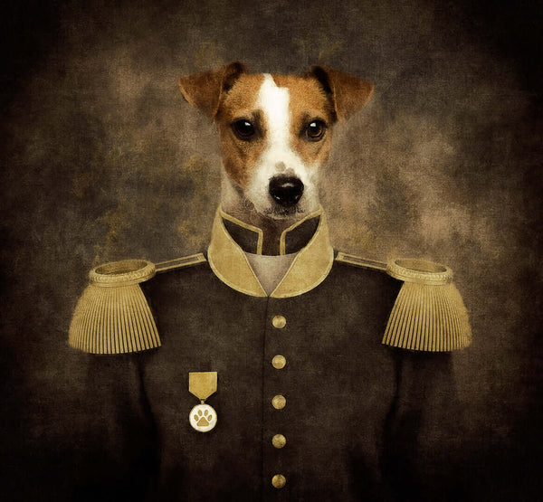 Dog General Photoshop Action for Pet Portraits