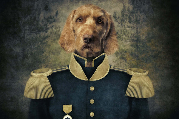 Dog General Photoshop Action for Pet Portraits